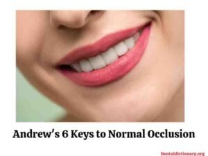 Andrew's Six Key to Normal Occlusion - Dental Dictionary